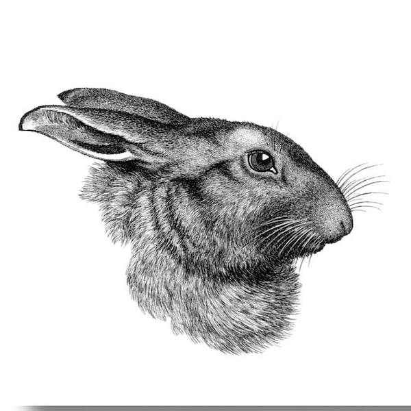 White Rabbit Print - Etsy