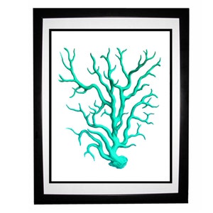 Mint Green Coral Nautical Art Print Natural History Beach House Decor ...