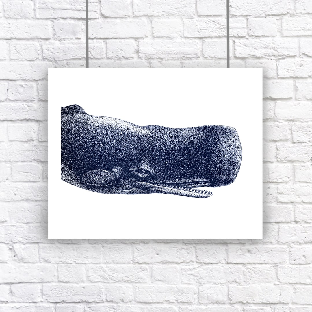 Large Blue Whale Portrait Nautical Vintage Style Art Print Beach House ...