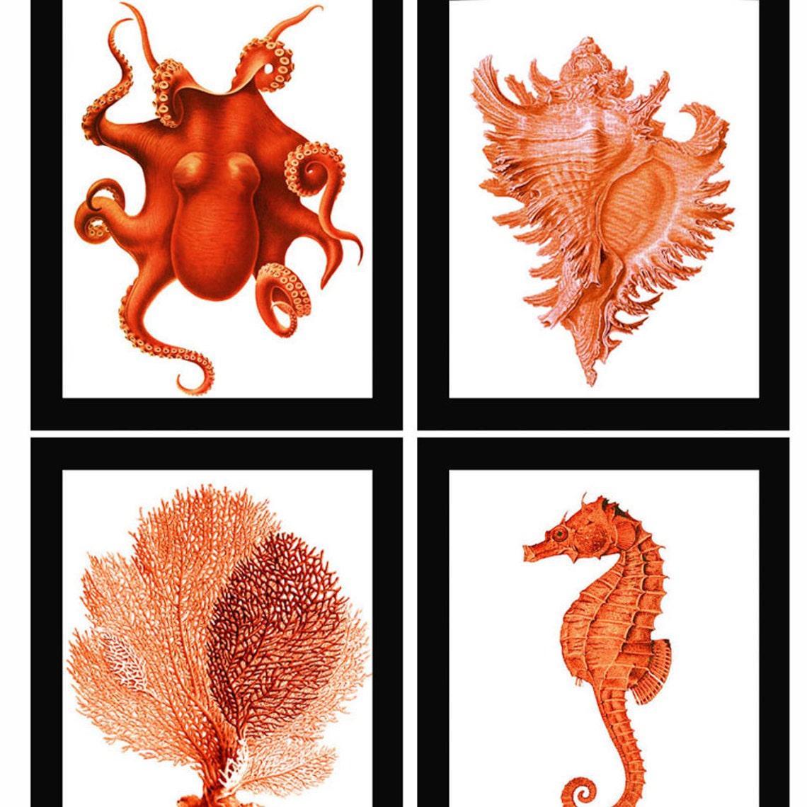Large Red Orange Coral Sea Fan Octopus Conch Shell Seahorse Vintage ...