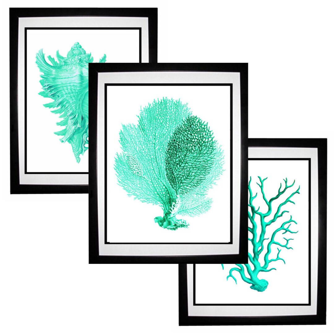 Mint Green Aqua Coral Sea Fan Conch Shell Vintage Style Nautical Art ...