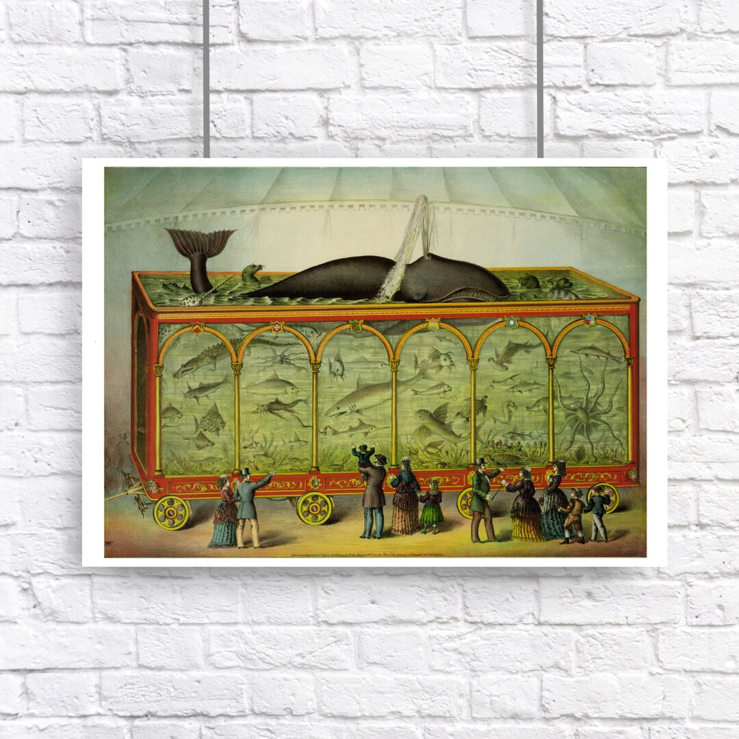 Whale Circus Aquarium Octopus Shark Large Victorian Steampunk Nautical ...