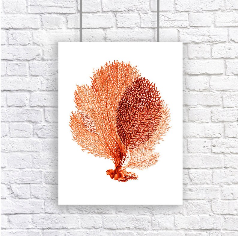 Large Red Orange Coral Sea Fan Octopus Conch Shell Seahorse Vintage ...