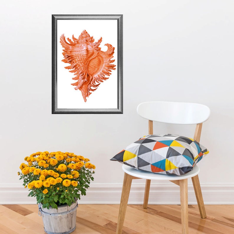 Conch Shell Red Orange Nautical Vintage Style Art Print Beach - Etsy