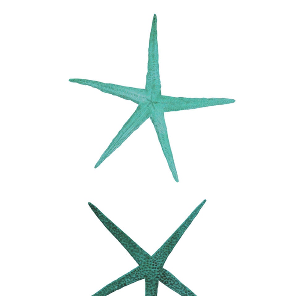 Starfish Sea Star Mint Green Nautical Art Print Natural History Beach ...