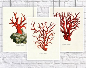 Red Coral Print - Etsy