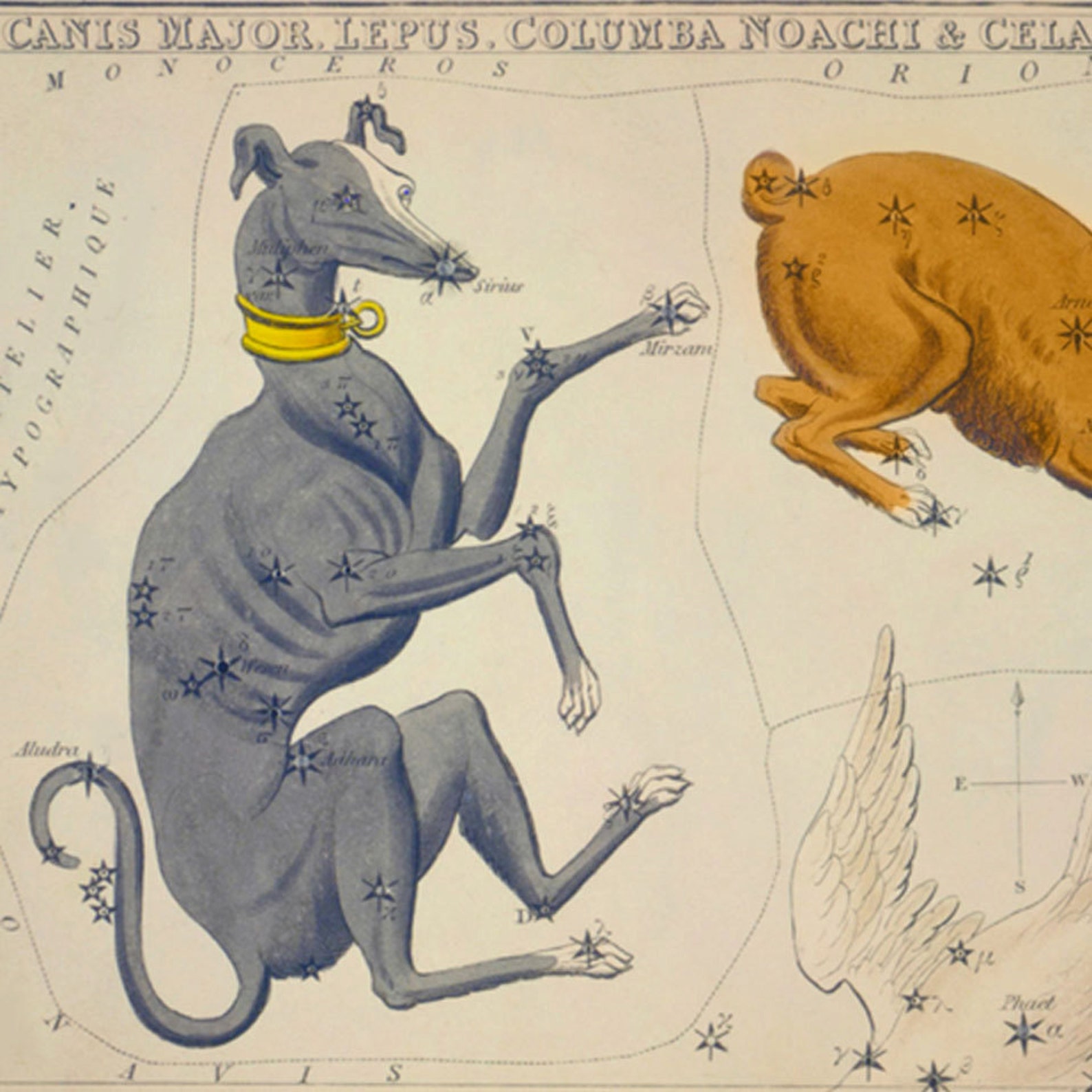 Star Constellation Rabbit Greyhound Vintage Style Art Print Astronomy ...
