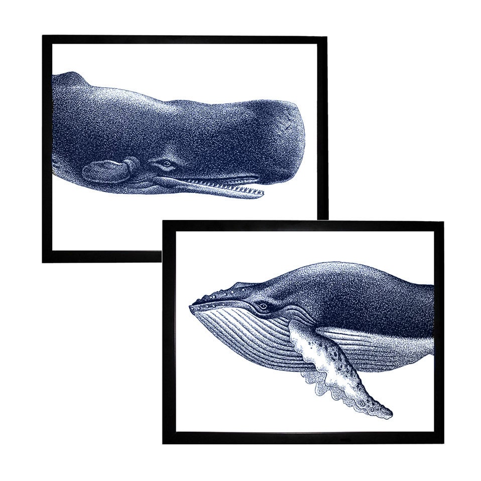 Blue Whale Portrait Nautical Vintage Style Art Print Set Beach House - Etsy