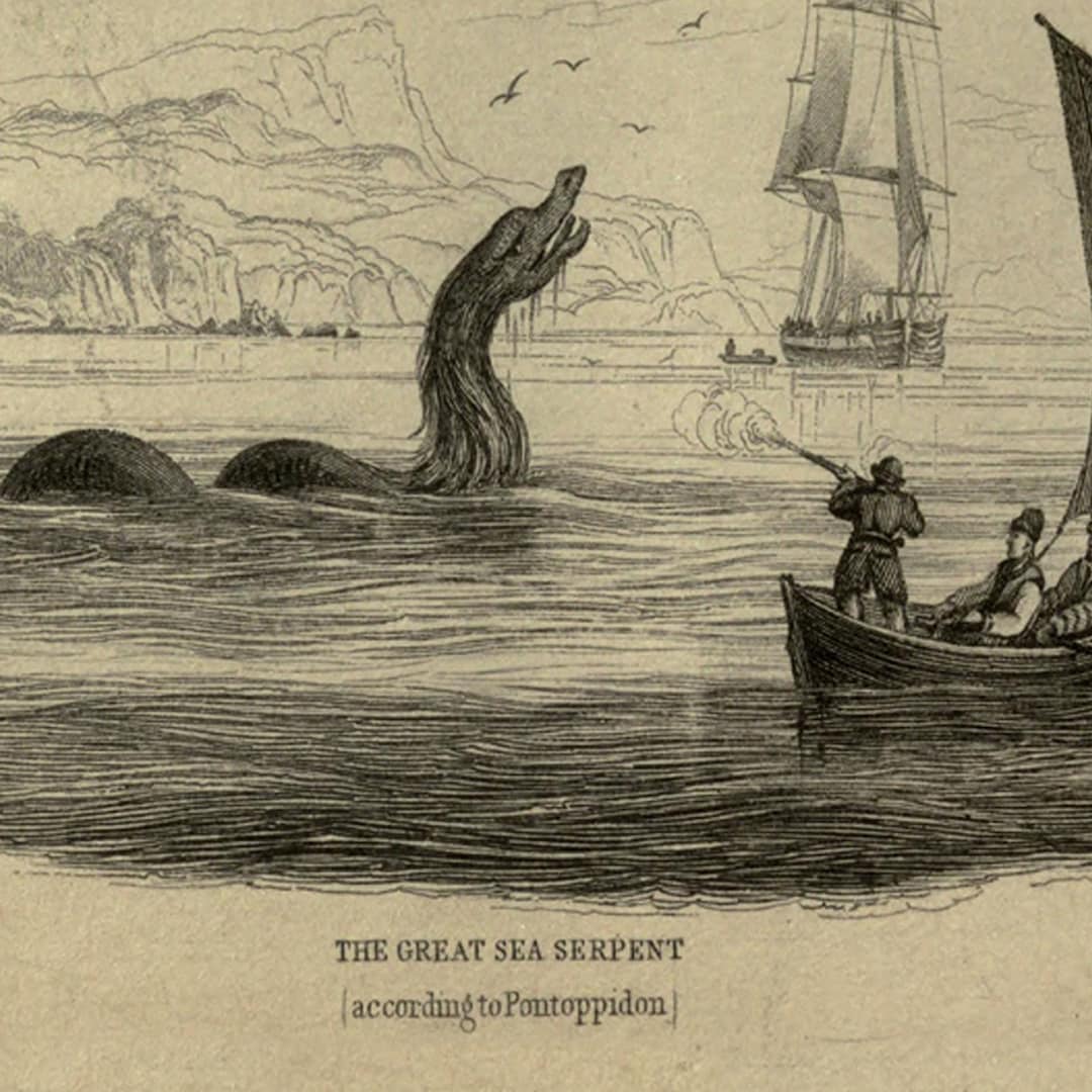 Sea Serpent Nautical Vintage Style Art Print Boat Ship Cryptozoology ...