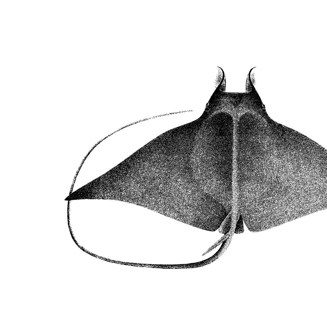 Grande Sting Ray Mantarraya estilo Vintage náutico lámina - Etsy España