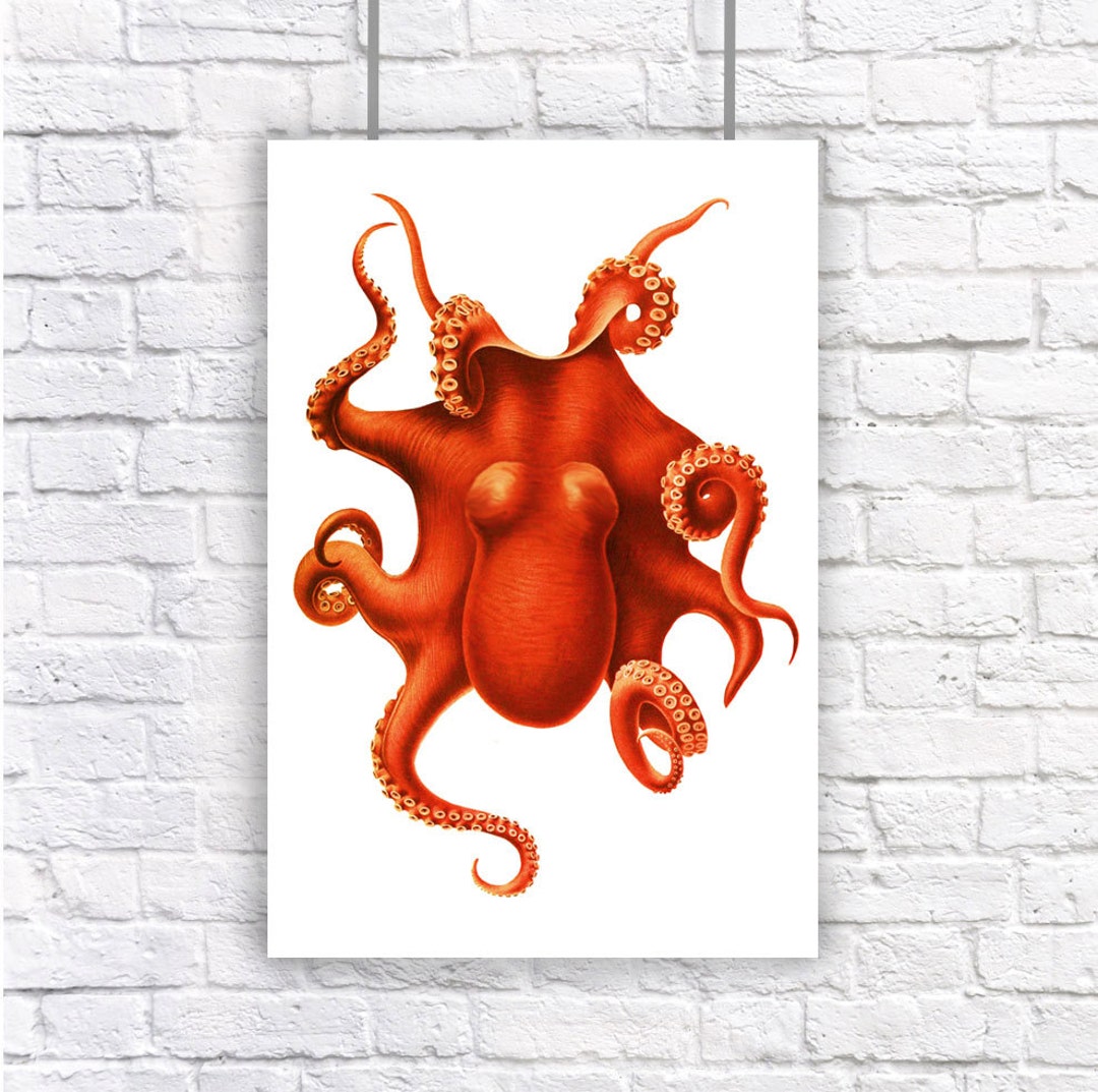 Large Octopus Orange Red Nautical Vintage Style Art Print Beach House ...