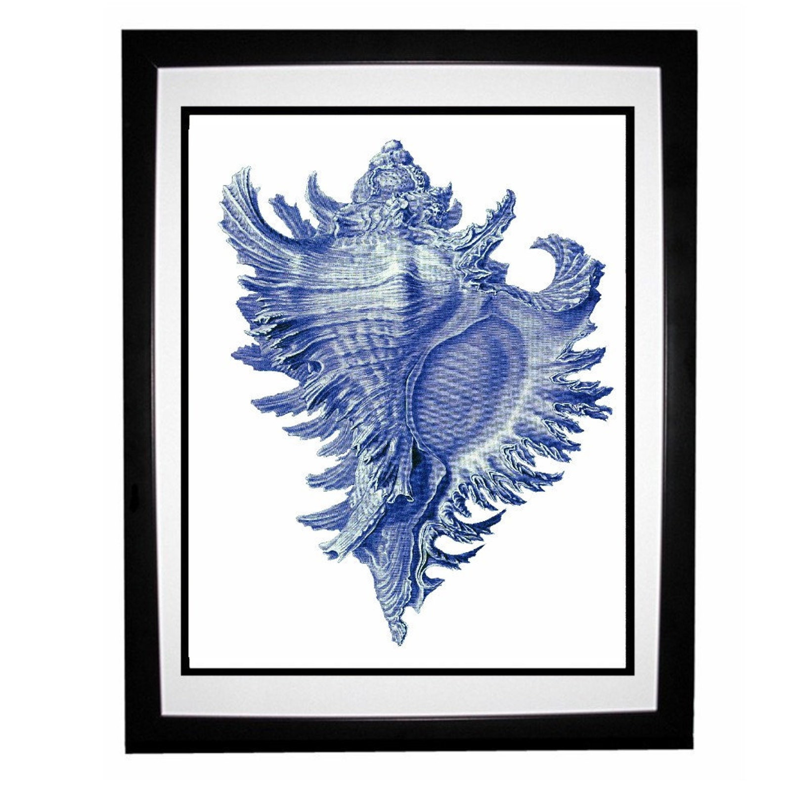 Blue Conch Shell Nautical Vintage Style Art Print Beach House - Etsy