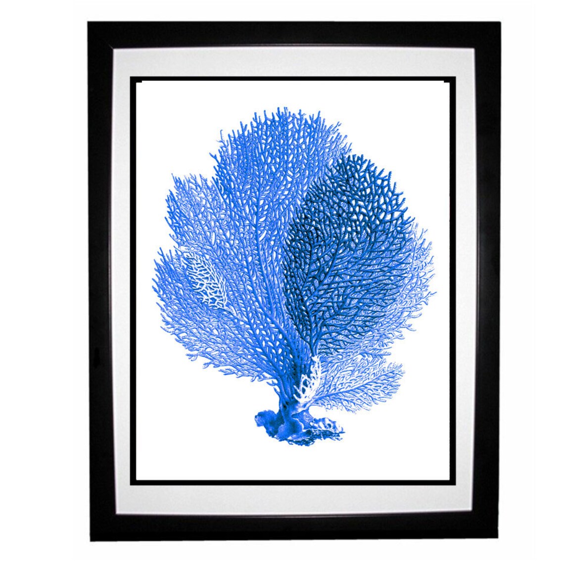 Blue Sea Fan Art Print Coral Nautical Natural History Beach House Decor ...