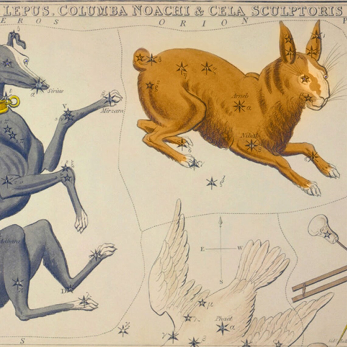 Star Constellation Rabbit Greyhound Vintage Style Art Print Astronomy ...