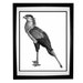 Secretary Bird Vintage Style Art Print Black and White Grey - Etsy