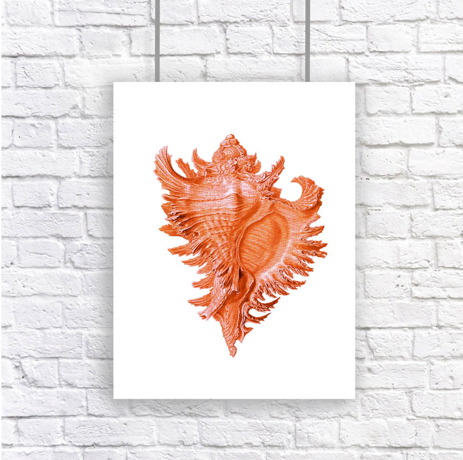 Large Conch Shell Red Orange Nautical Vintage Style Art Print Beach ...