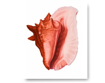 Blue Conch Shell Nautical Vintage Style Art Print Beach House - Etsy