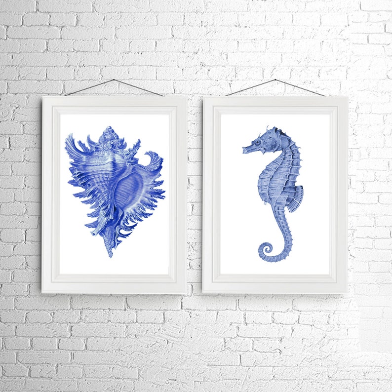 Blue Seahorse Conch Shell Large Vintage Style Nautical Art Print Set of ...
