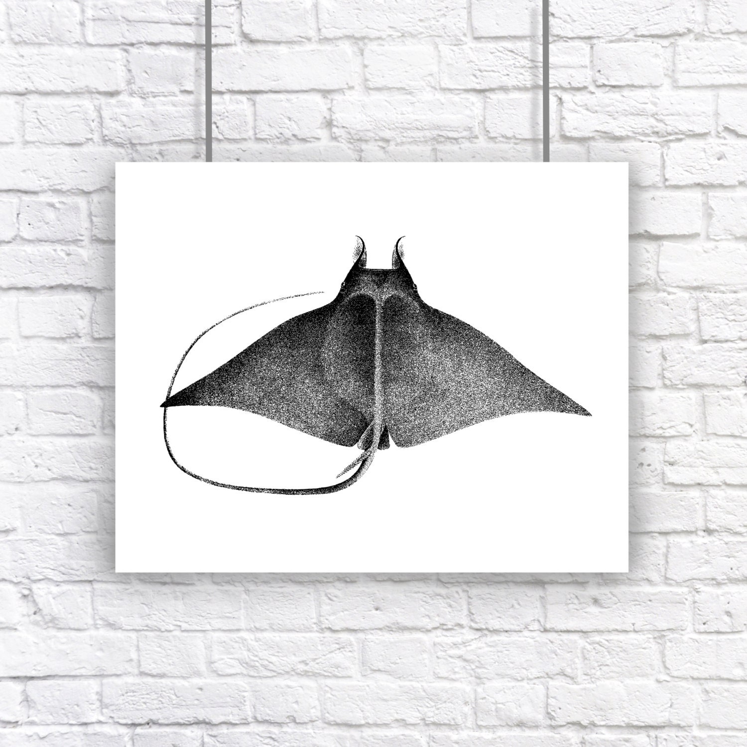 Grande Sting Ray Mantarraya estilo Vintage náutico lámina - Etsy España