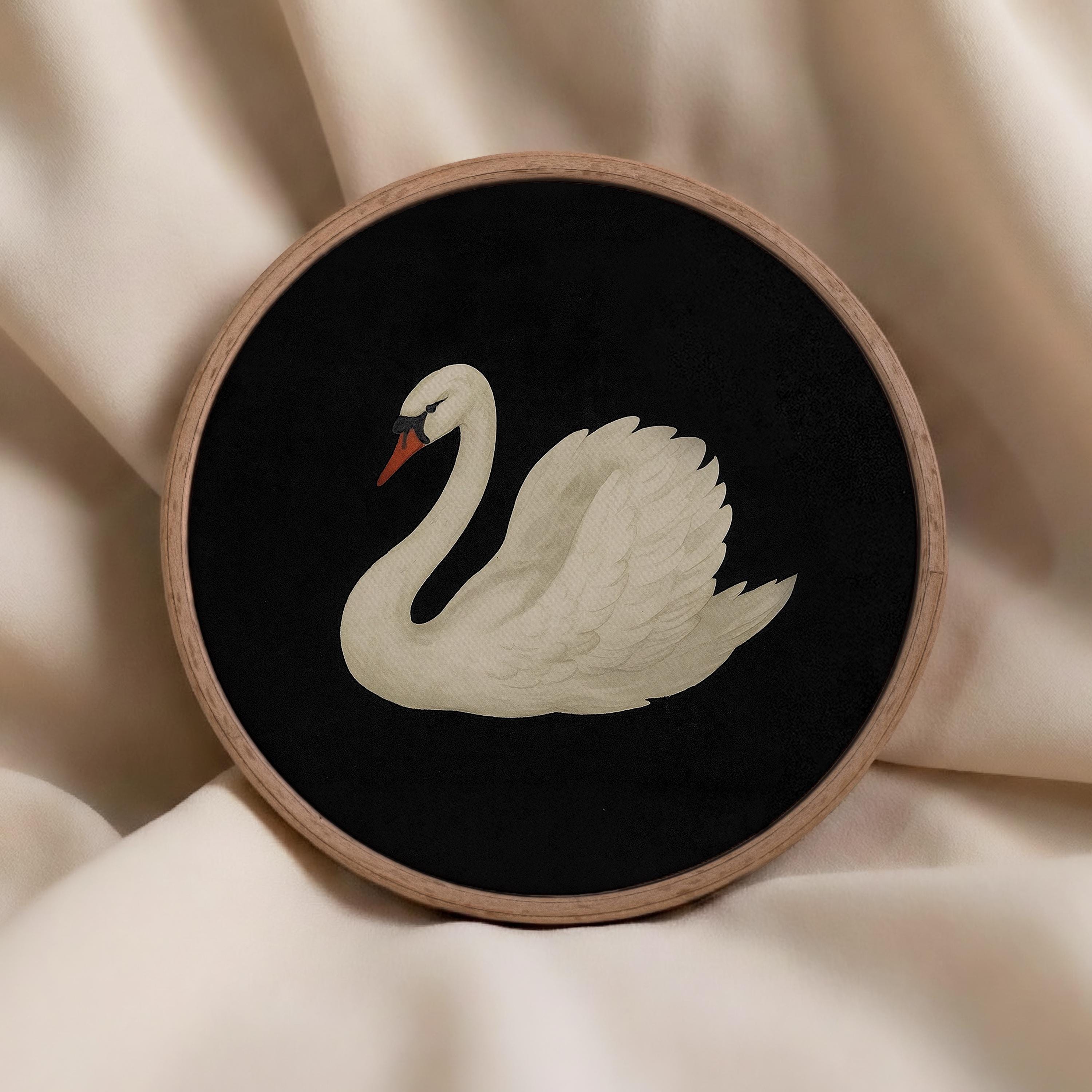 Round Framed Black Swan Art Print: Antique Illustration, Vintage Decor