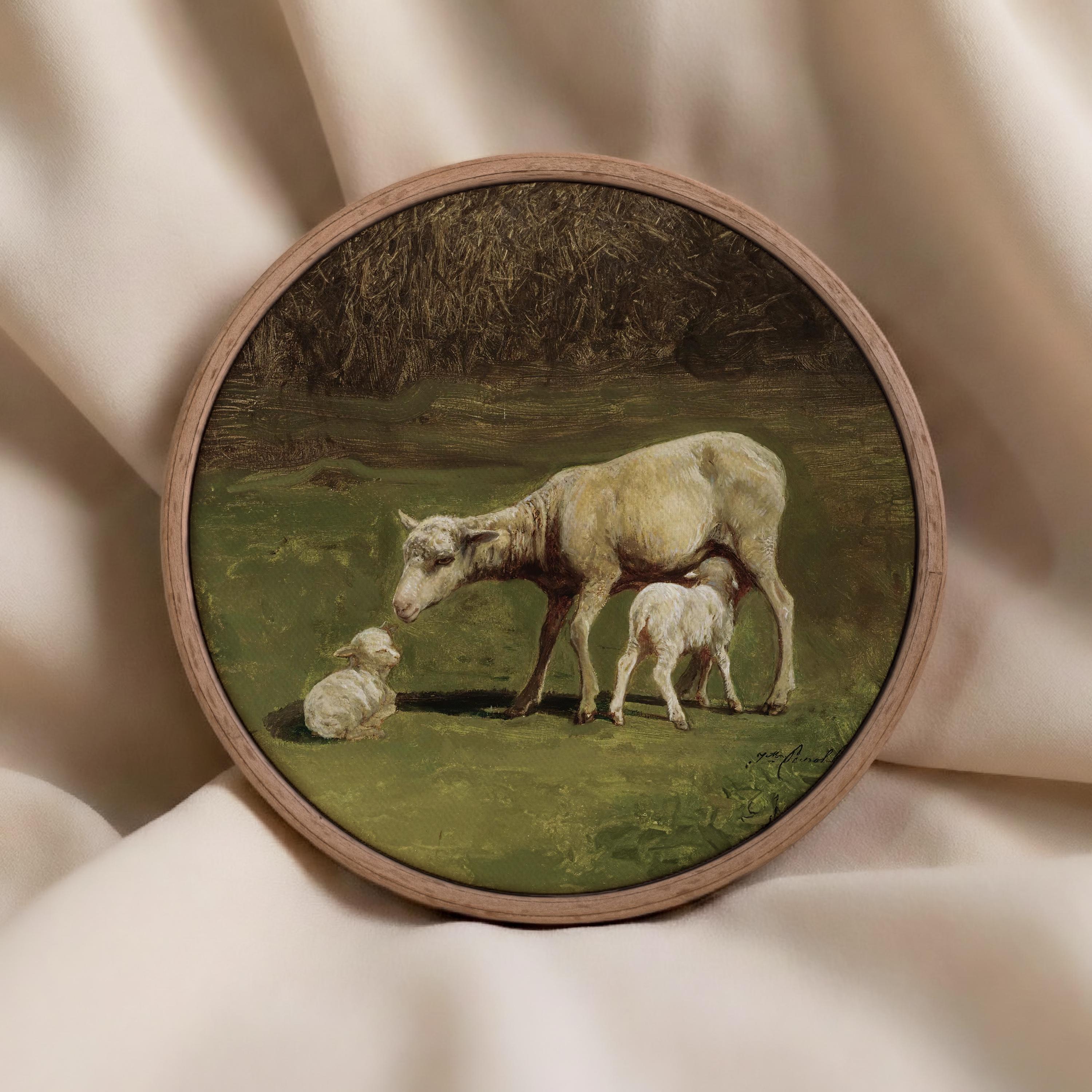 Round Sheep Oil Painting Print – Countryside Beechwood Canvas