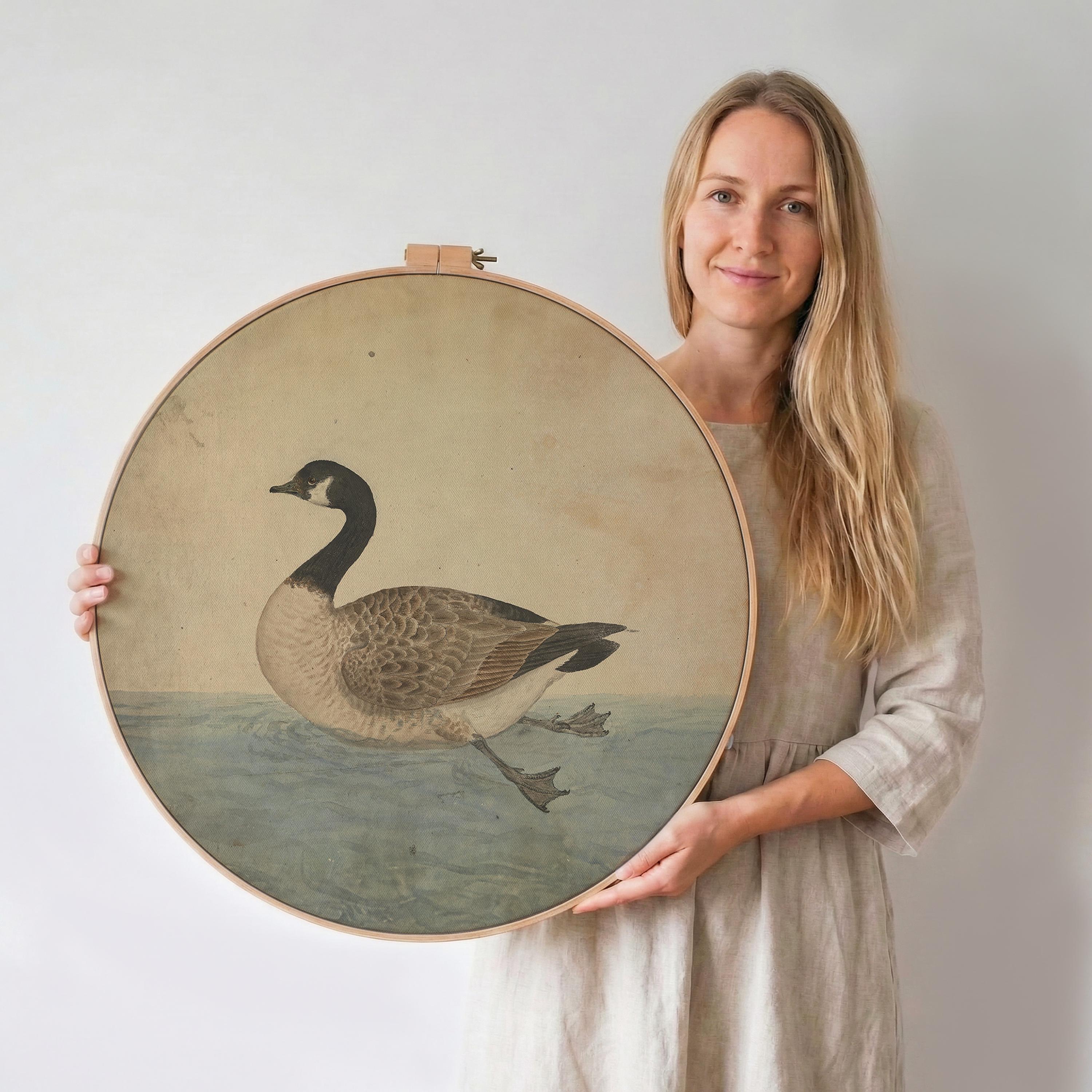 Canada Goose Vintage Print Framed Canvas | Round Canvas Nature Print | Cottagecore Gift
