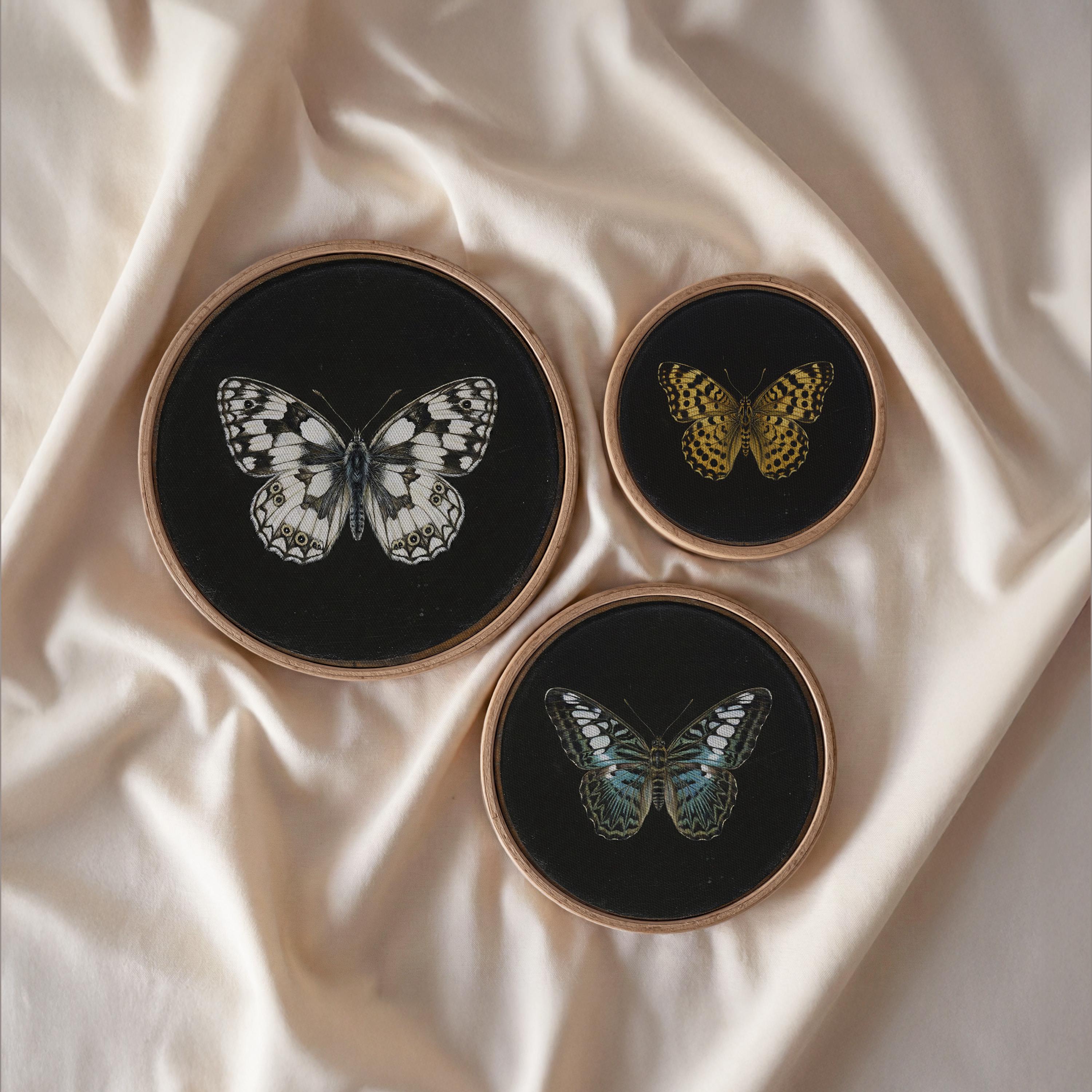 Butterfly Art Prints, Set of 3 Round Beech Wood Frames Butterfly Art Prints, Set of 3 Round Beech Wood Frames