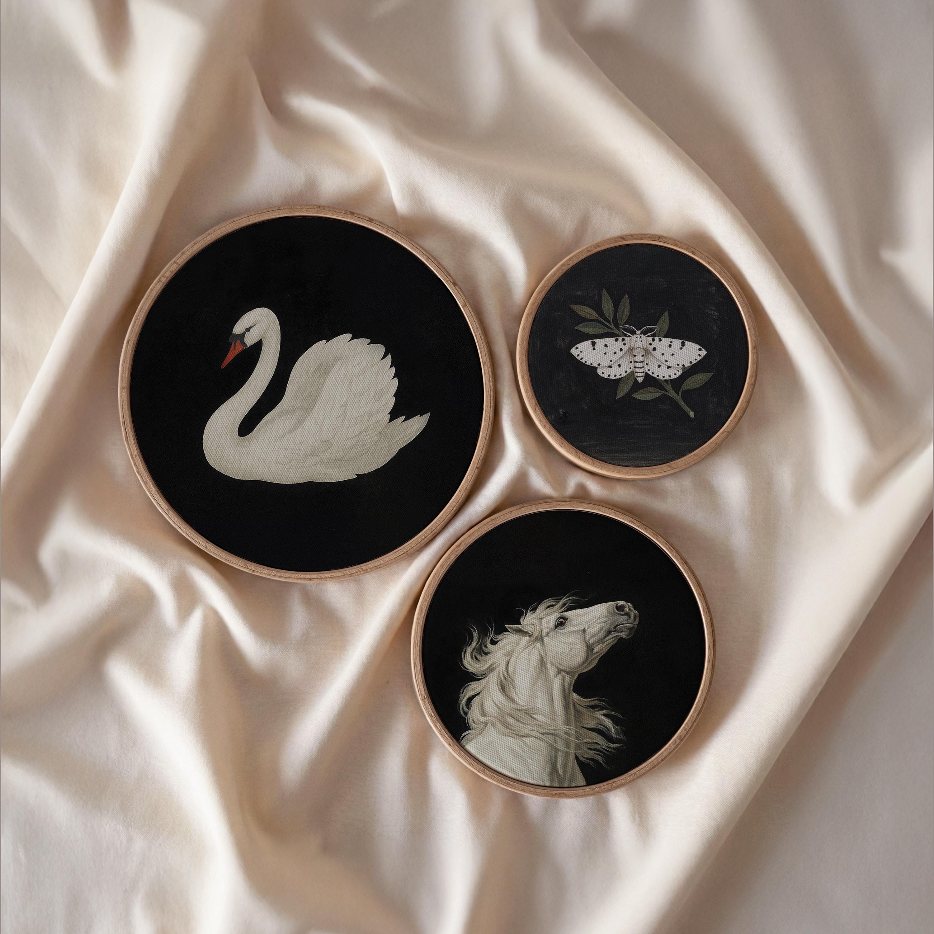 Swan, Horse, Moth Canvas Print Set, Dark Cottagecore Home Decor