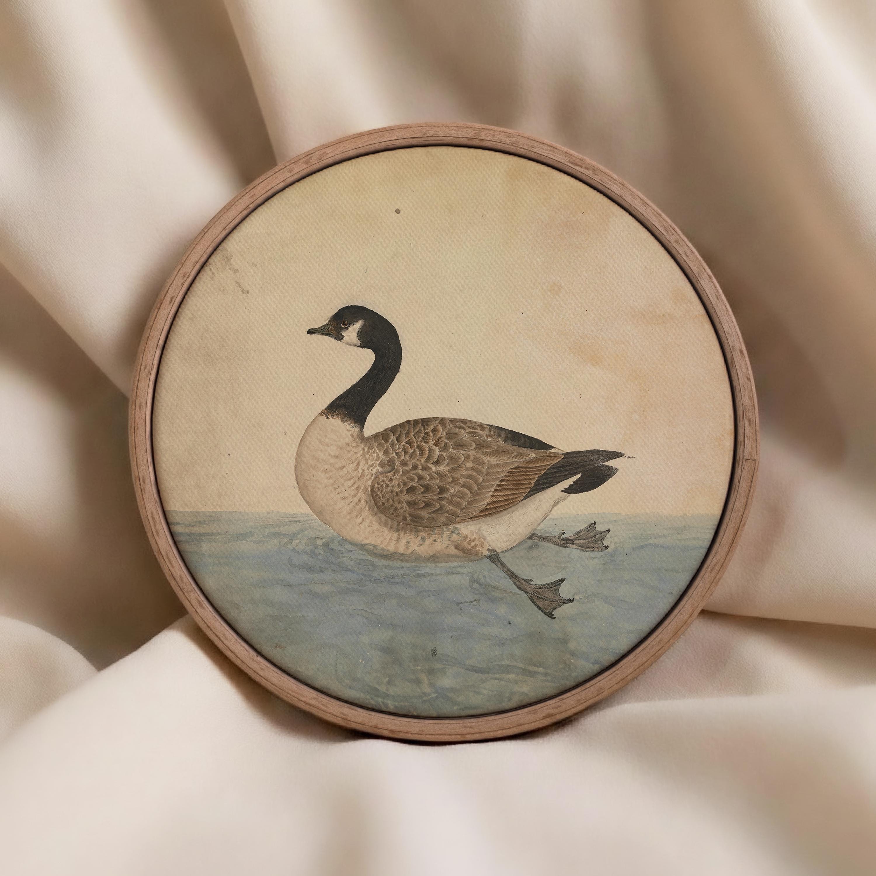 Vintage Goose Art Print - Elegant Waterfowl Illustration - Antique Style Bird Wall Decor
