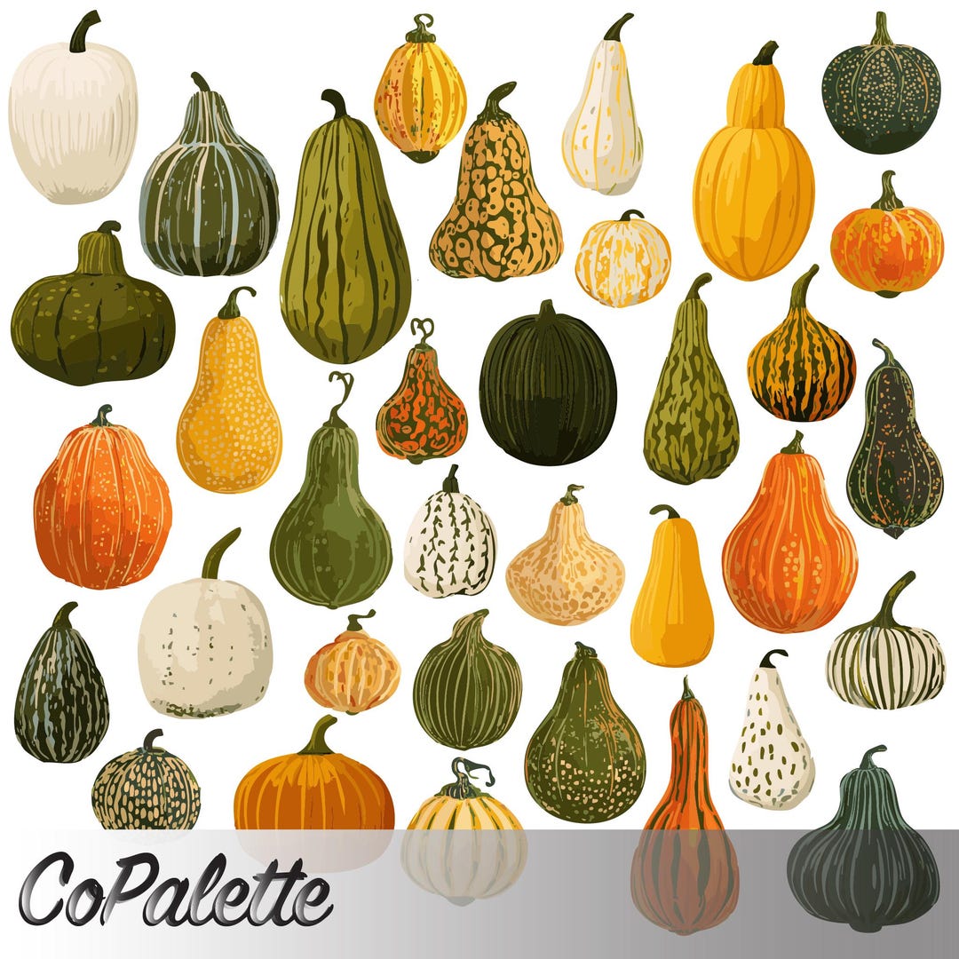Fall Gourds Clip Art Set • 35 Autumn Illustrations (PNG & SVG Digital ...