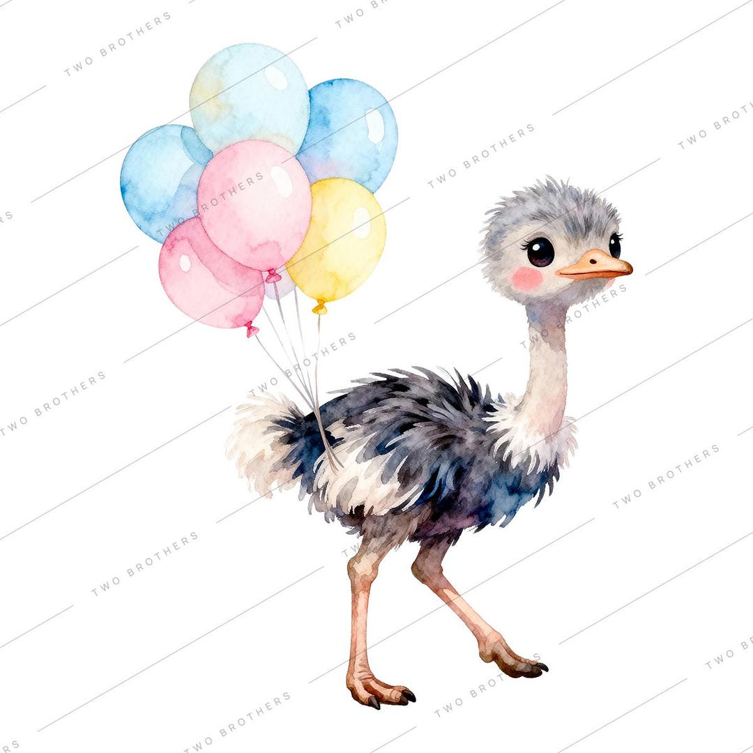 Watercolor Baby Ostrich Clipart | Pastel Balloons (instant Download) - Etsy