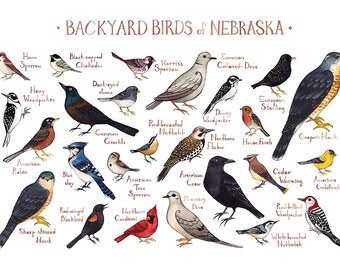 Pennsylvania Backyard Birds Field Guide Art Print / Watercolor | Etsy