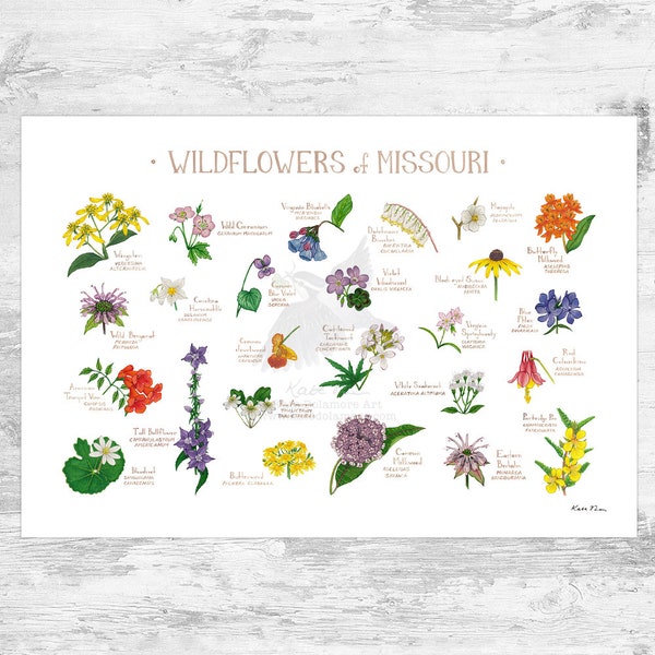 Missouri - Etsy