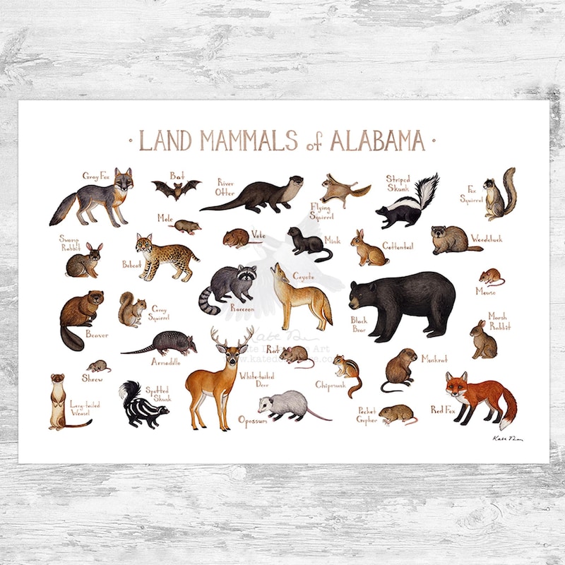 Alabama Poster - Etsy