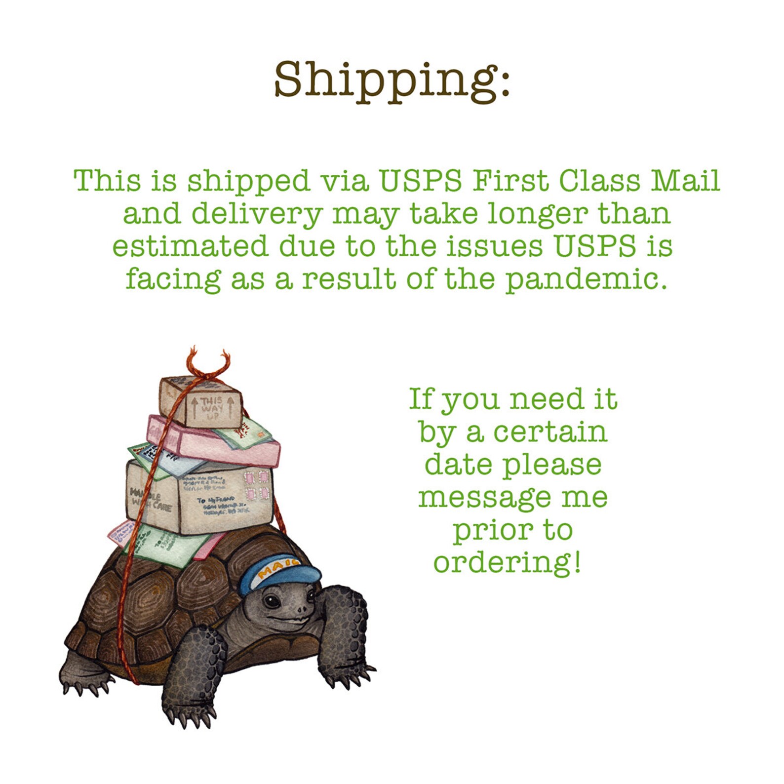 Texas Backyard Birds Field Guide Art Print / Watercolor - Etsy