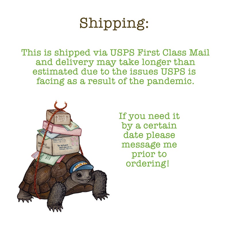 Texas Backyard Birds Field Guide Art Print / Watercolor - Etsy