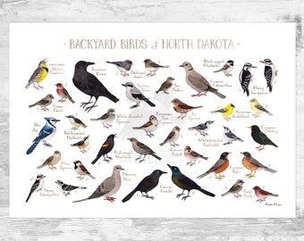 Colorado Backyard Birds Field Guide Art Print / Watercolor - Etsy