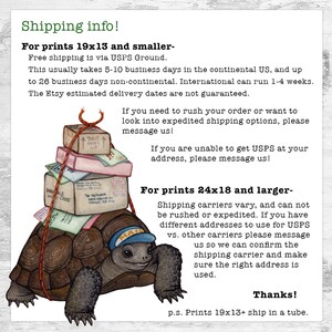 Minnesota Mammals Field Guide Art Print / Animals of Minnesota ...