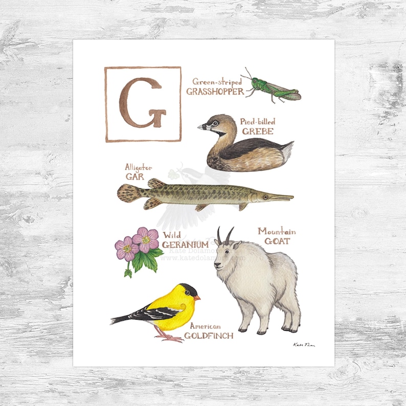 Letter "g" Nature Alphabet Art Print / 8x10 Monogram Initial Wall Art ...