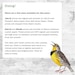 Iowa Mammals Field Guide Art Print / Animals of Iowa / Watercolor ...