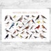 Ducks of North America Field Guide Art Print / Water Birds Poster ...