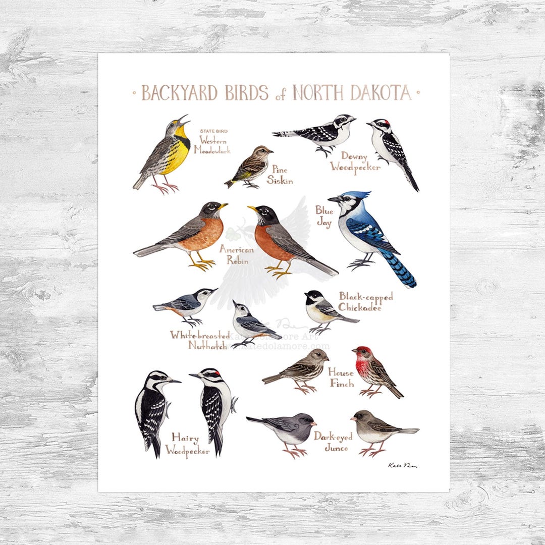 North Dakota Backyard Birds Field Guide Art Print Mini 8x10 - Etsy