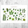 Tree Bark Identification Poster - British Species - Etsy