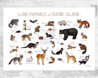 Mississippi Land Mammals Field Guide Art Print / Animals of Mississippi ...