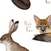 Arizona Mammals Field Guide Art Print / Animals of Arizona / Watercolor ...