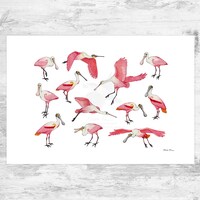 Roseate Spoonbill - Etsy
