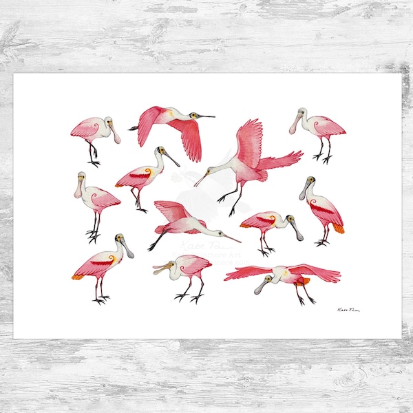 Roseate Spoonbill - Etsy