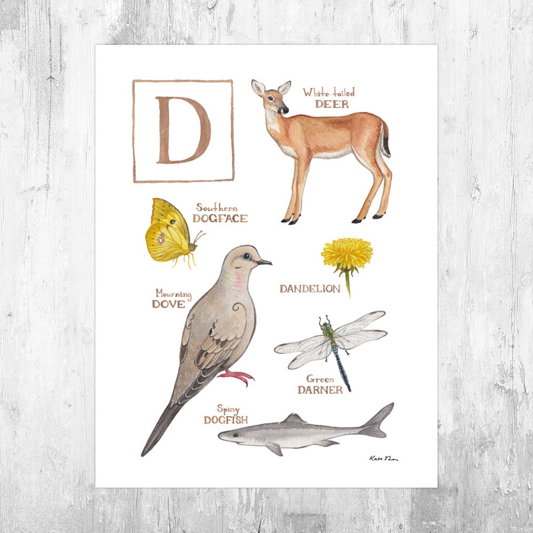 Letter d Nature Alphabet Art Print / Monogram / - Etsy
