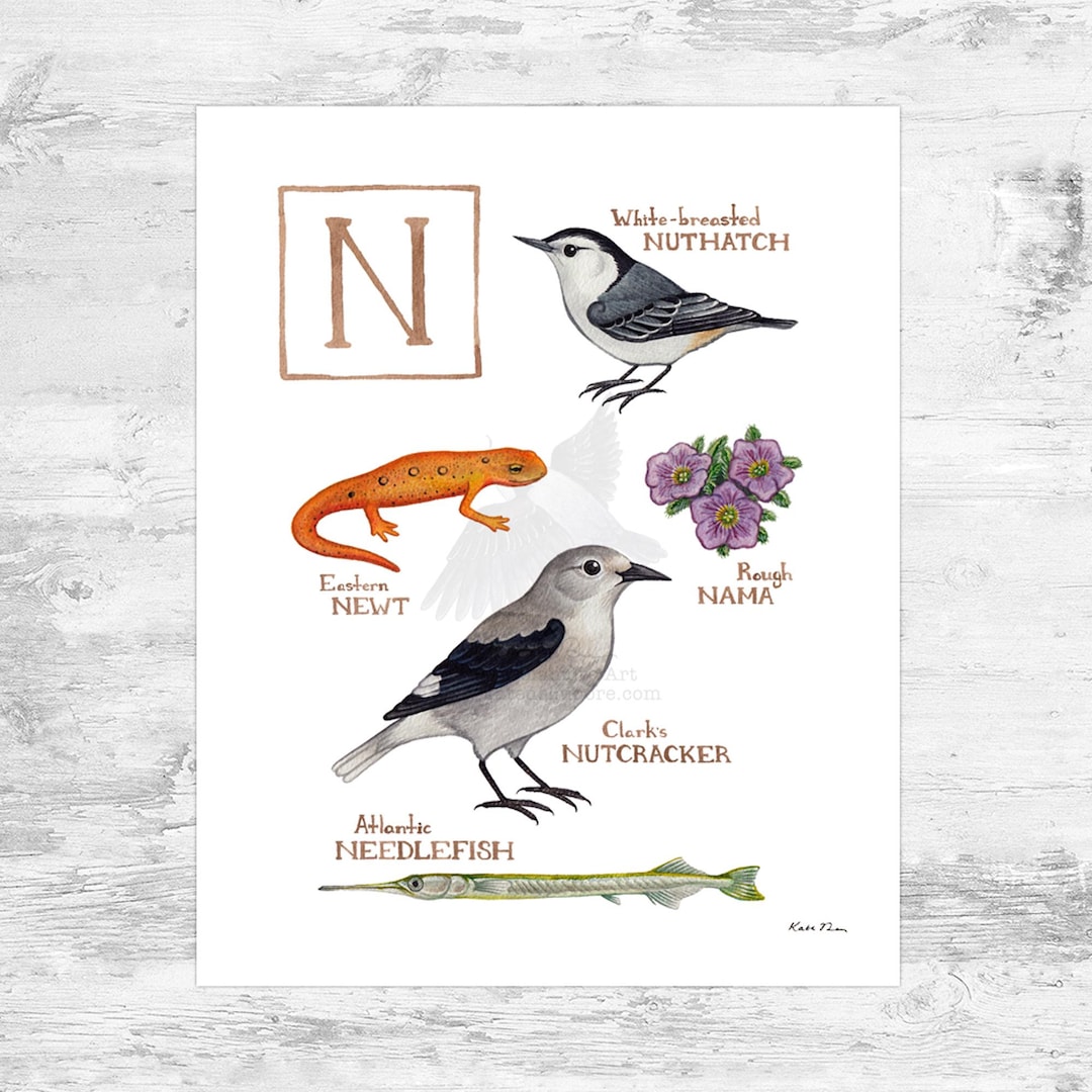 Letter "n" Nature Alphabet Art Print / 8x10 Monogram Initial Wall Art ...