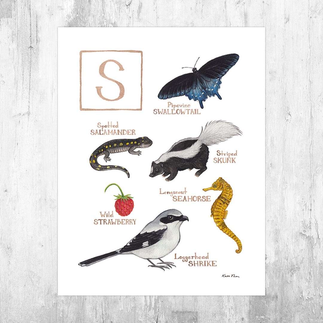 Letter s Nature Alphabet Art Print / Monogram / Initial Wall Art ...